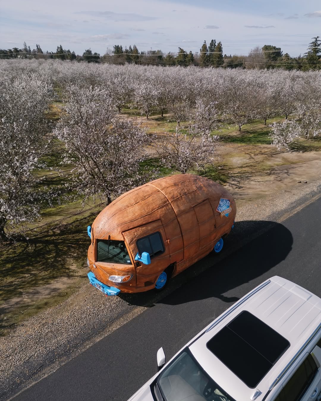 Special Projects — Lime Media